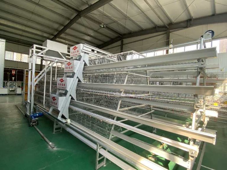 Automatic Layer Battery Cage – Automatic poultry cage breeding equipment
